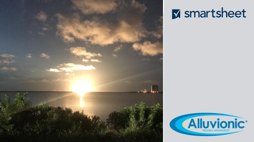 Cómo lo hace un profesional: Alluvionic, el proveedor de gestión de ...