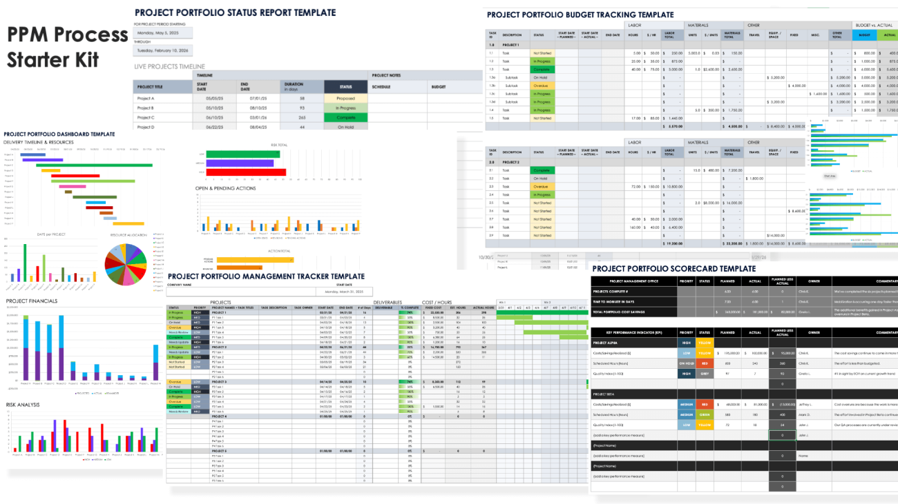 Project Portfolio Management Process: Phases, Steps & Flows