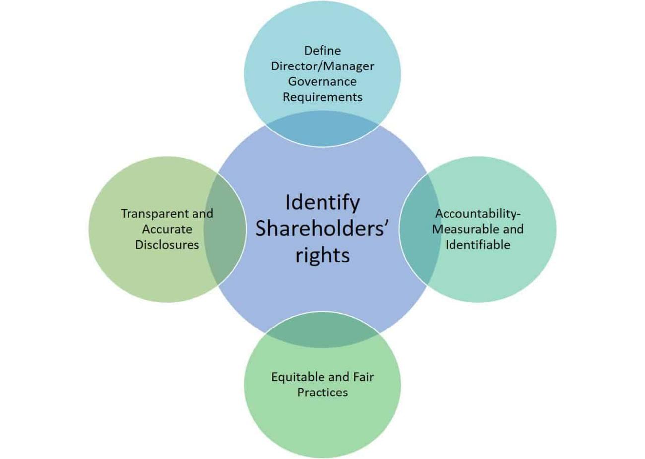 Corporate Governance: The Savvy Professional’s Guide | Smartsheet