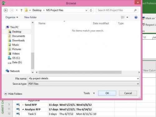Microsoft Project Converter Tutorial