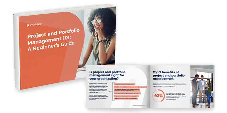 Beginner's Guide to Project & Portfolio Management | Smartsheet