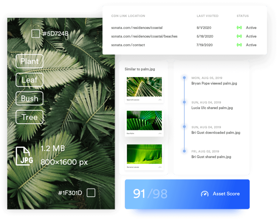 15 Must-Know Digital Asset Management Best Practices | Smartsheet