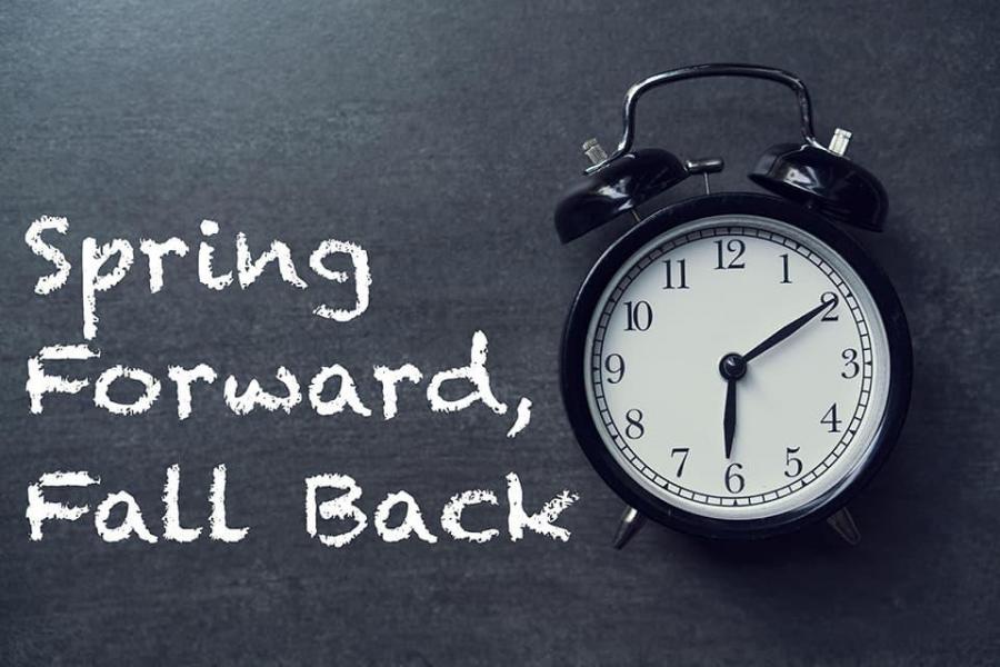 How to Calculate Schedule Variance for the PMP Smartsheet